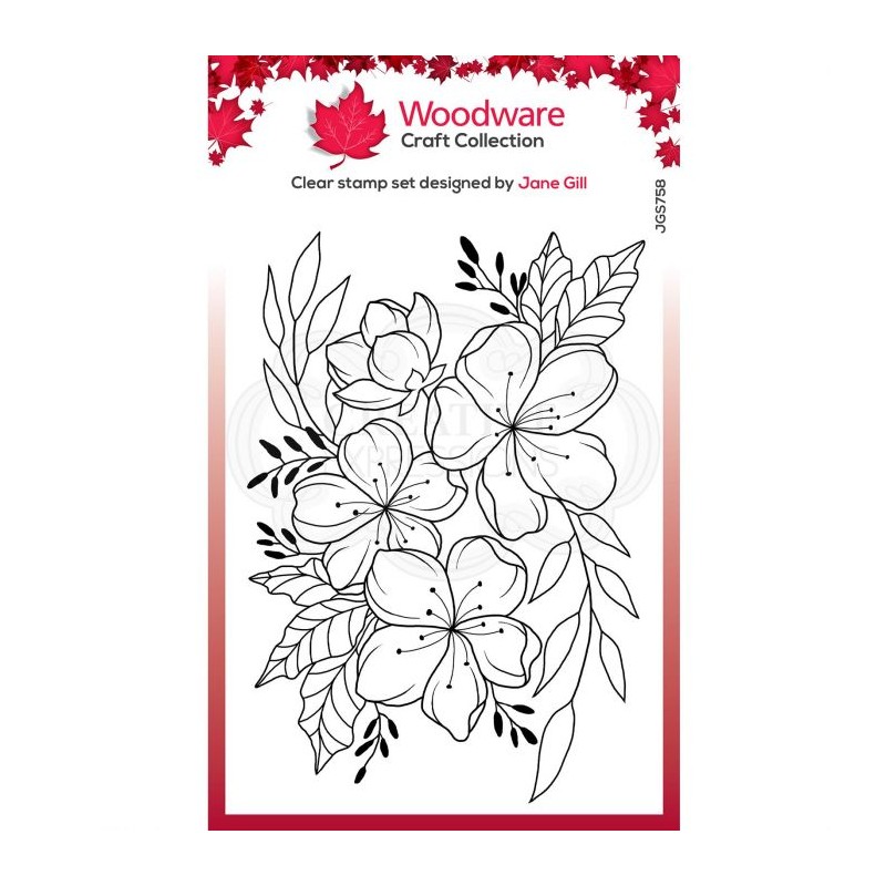 Woodware Clear Stamp singles Floral wonder A6